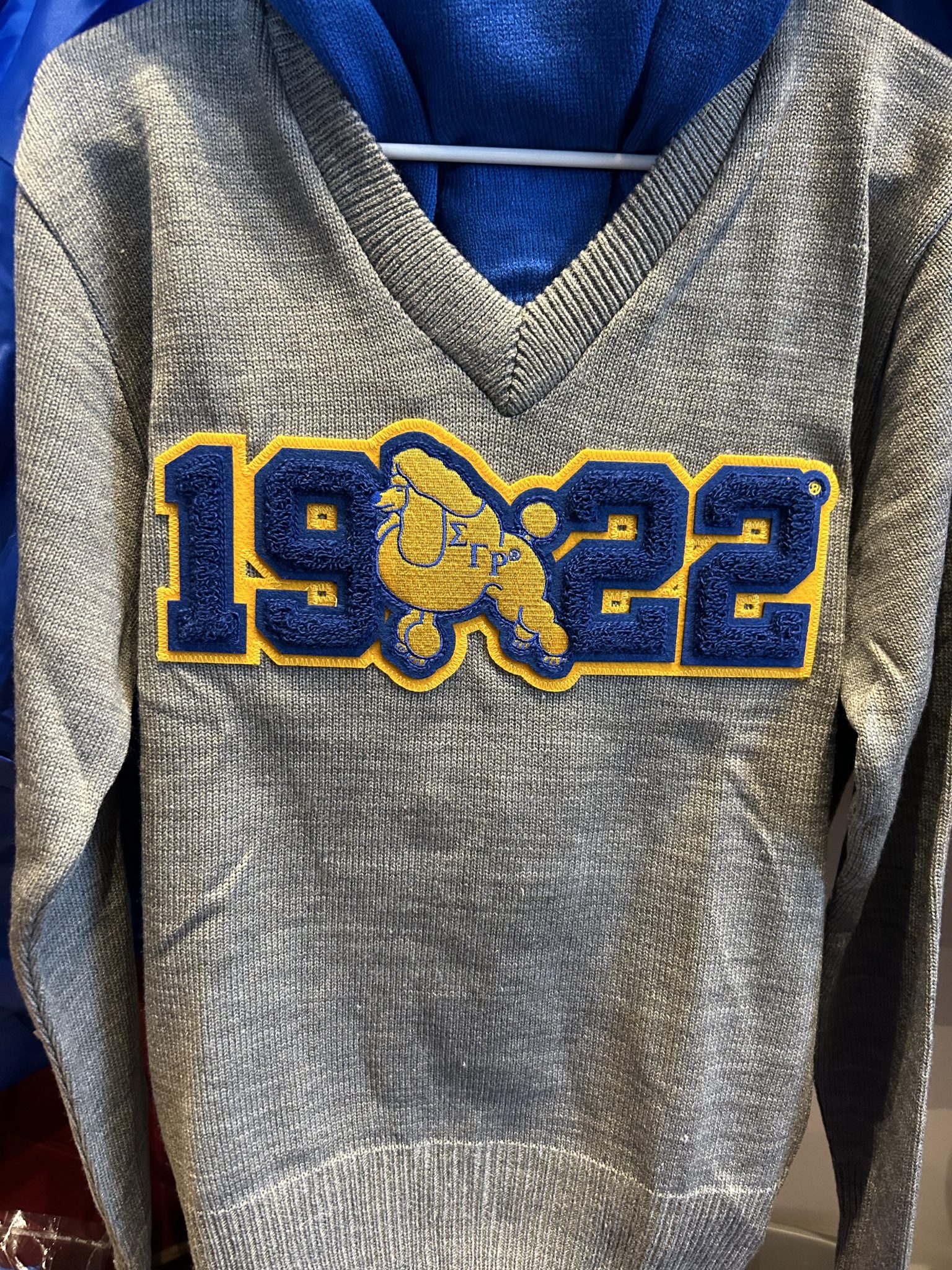 Sgrho Chenille V-Neck Sweater – Xpress Yourself Sportswear