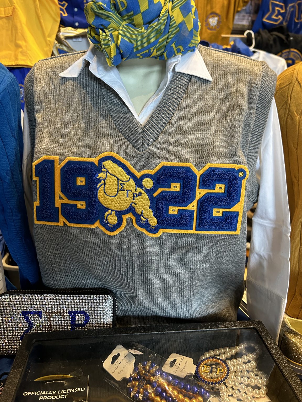 SGRHO Chenille Sweater Vest – Xpress Yourself Sportswear